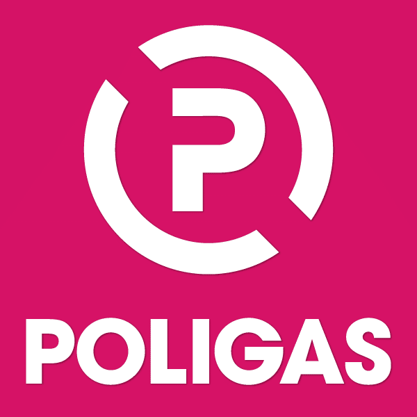 EXPERIENCIA - POLIGAS